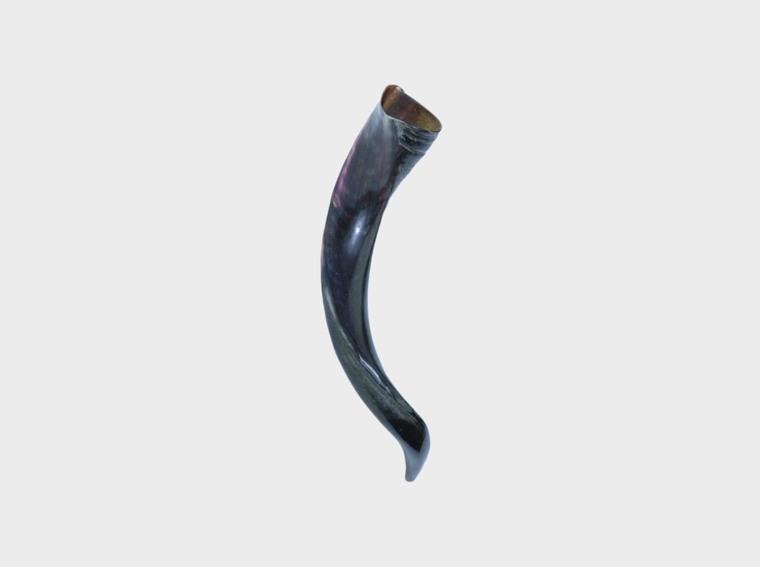 Shofar Kosher Auténtico – Tamaño Mini 20″ y 22″ hecho en Israel ...